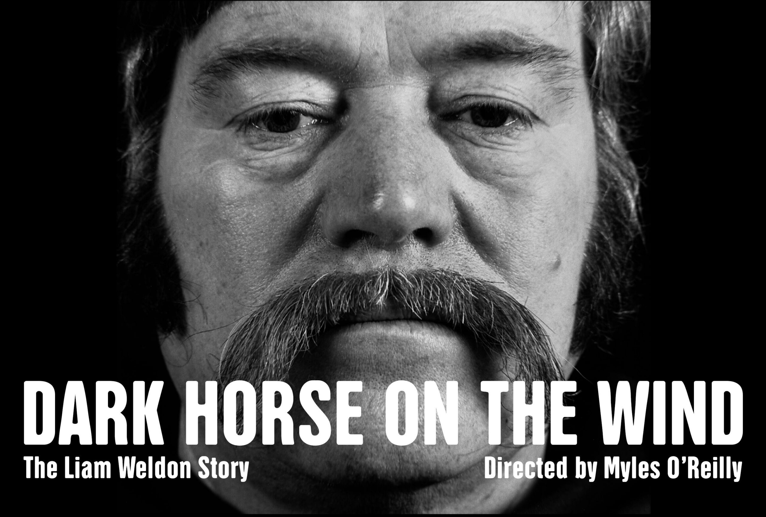 Pavee Song - Pavee Culture: “Dark Horse on The Wind” The Life and Songs ...